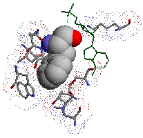 SPM 2005 ACM Symposium on Solid and Physical Modeling